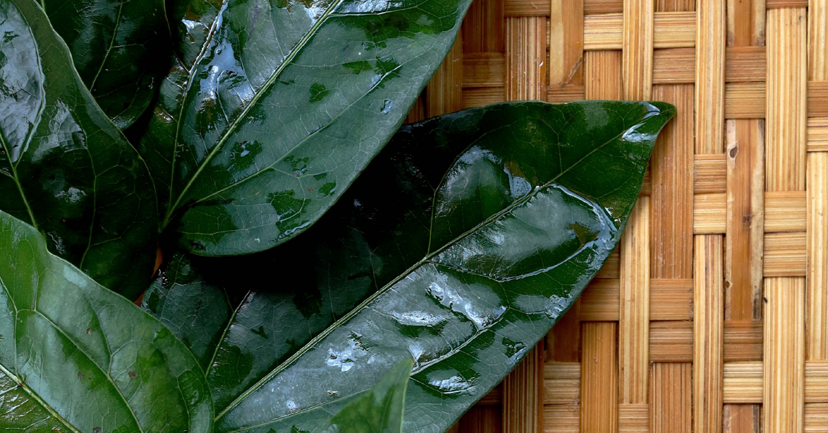 Key Rainy-Season Ingredients on TAAN’s Wasan Ruduu Menu, and their ...